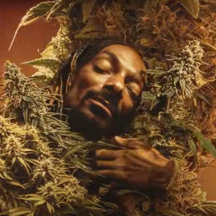 Snoop Dogg Drops Trippy ‘Last Dance With Mary Jane’ Video To Celebrate ...